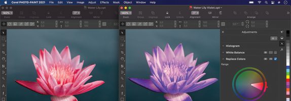 CorelDRAW Graphics Suite 2021: Designed to Get the Job Done on Any ...